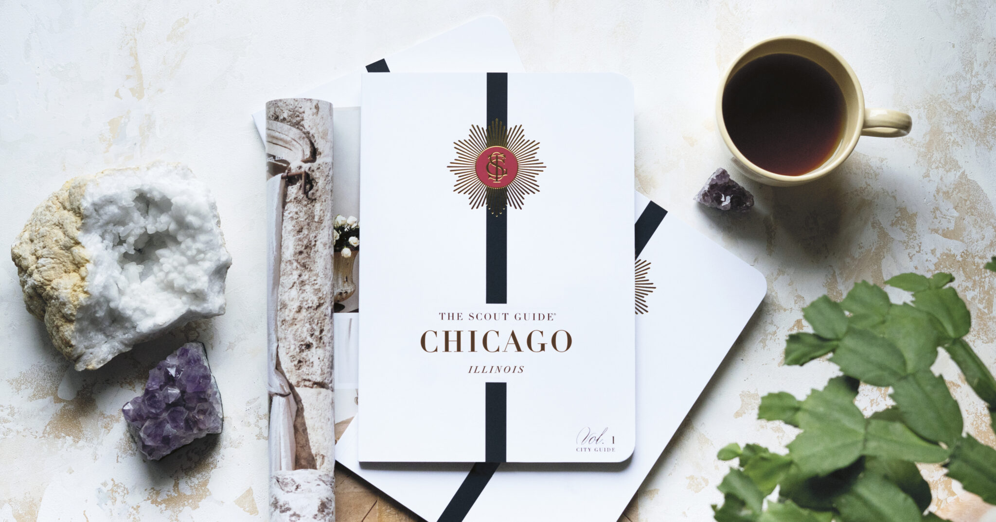 Welcome to Chicago, Illinois - The Scout Guide