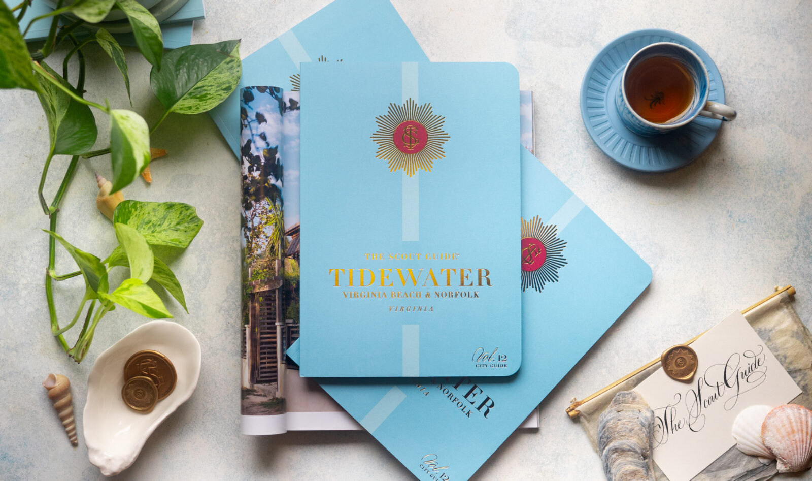 Welcome to Tidewater, Virginia - The Scout Guide