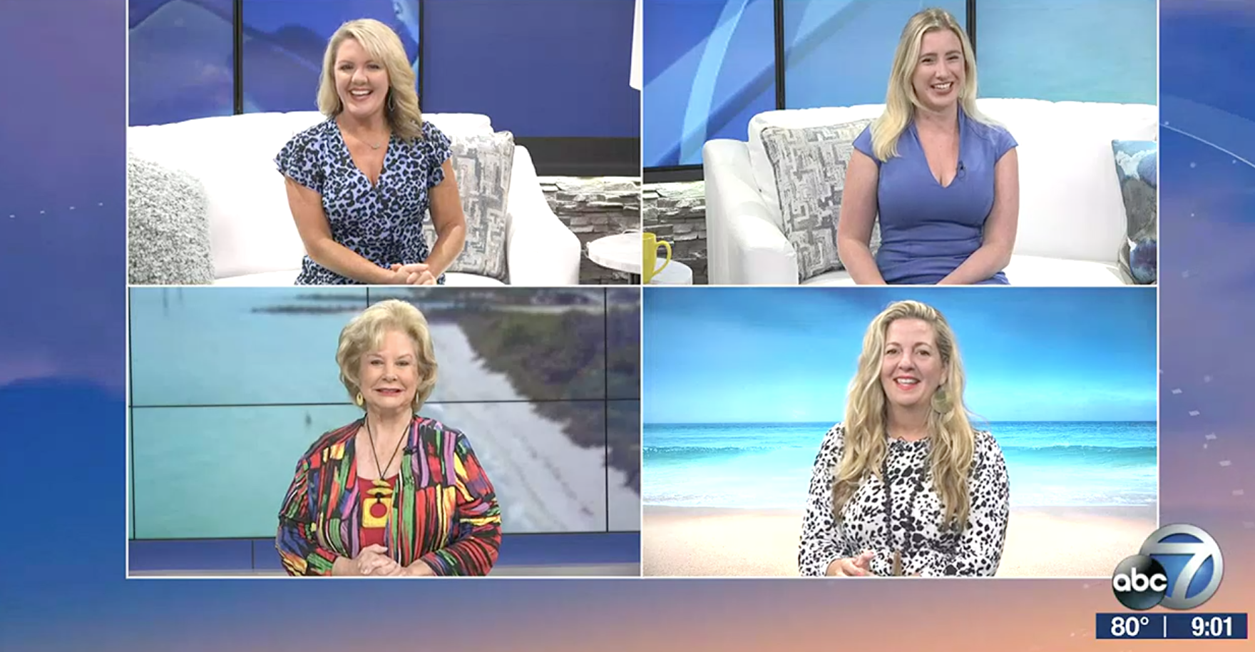 TSG on ABC7's Suncoast View - The Scout Guide