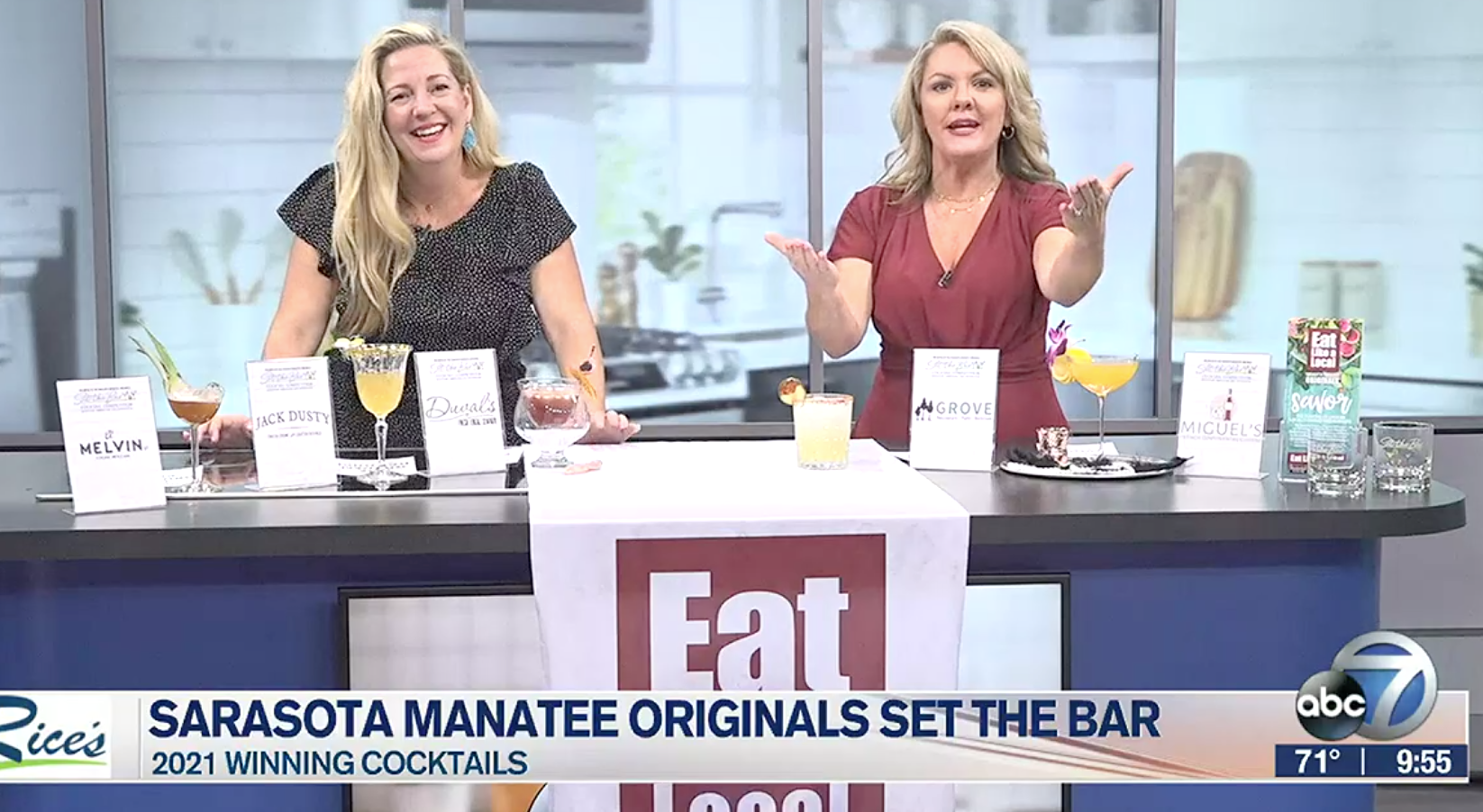 TSG on ABC7's Suncoast View - The Scout Guide