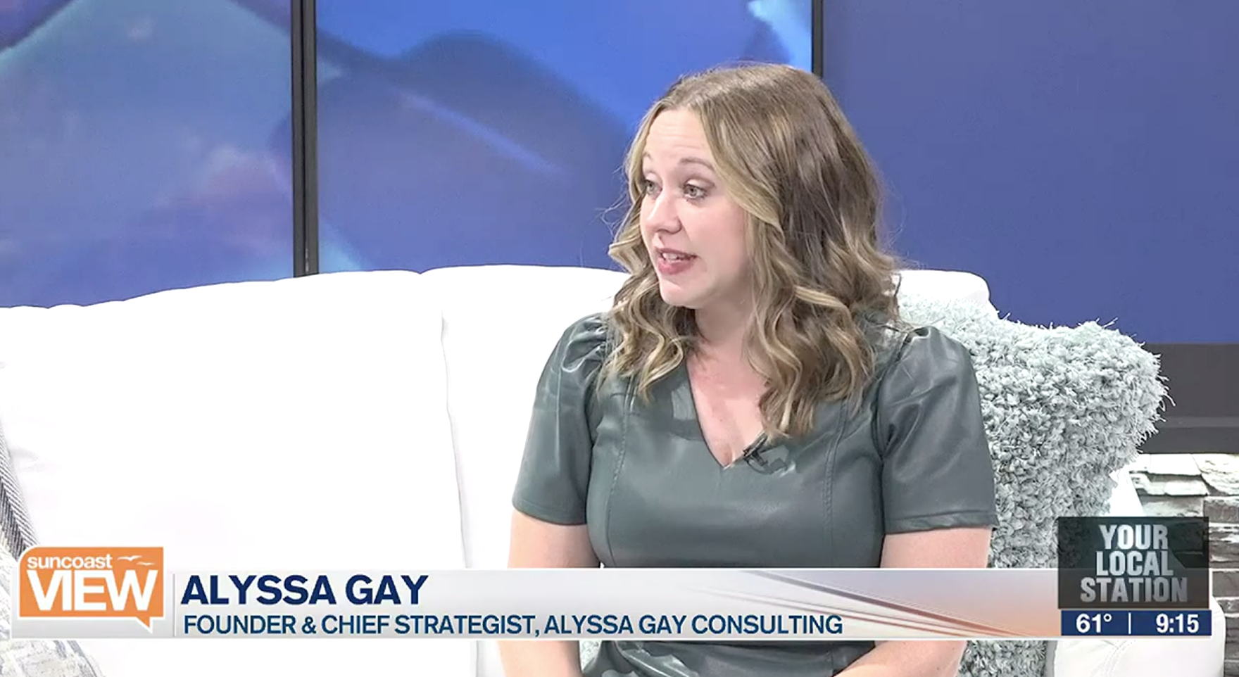 TSG on ABC7's Suncoast View - The Scout Guide