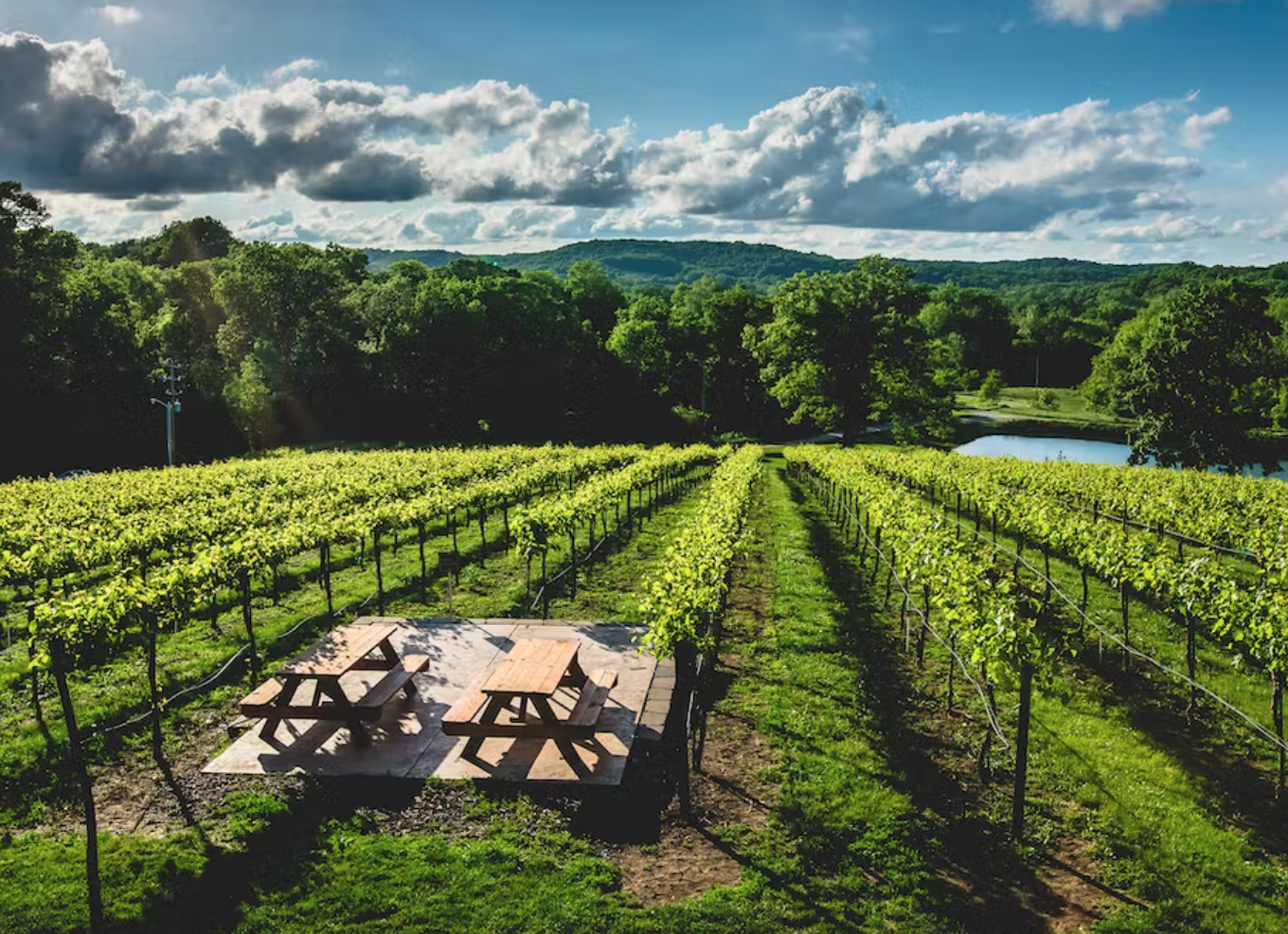 The Saint Louis Winery Guide - The Scout Guide