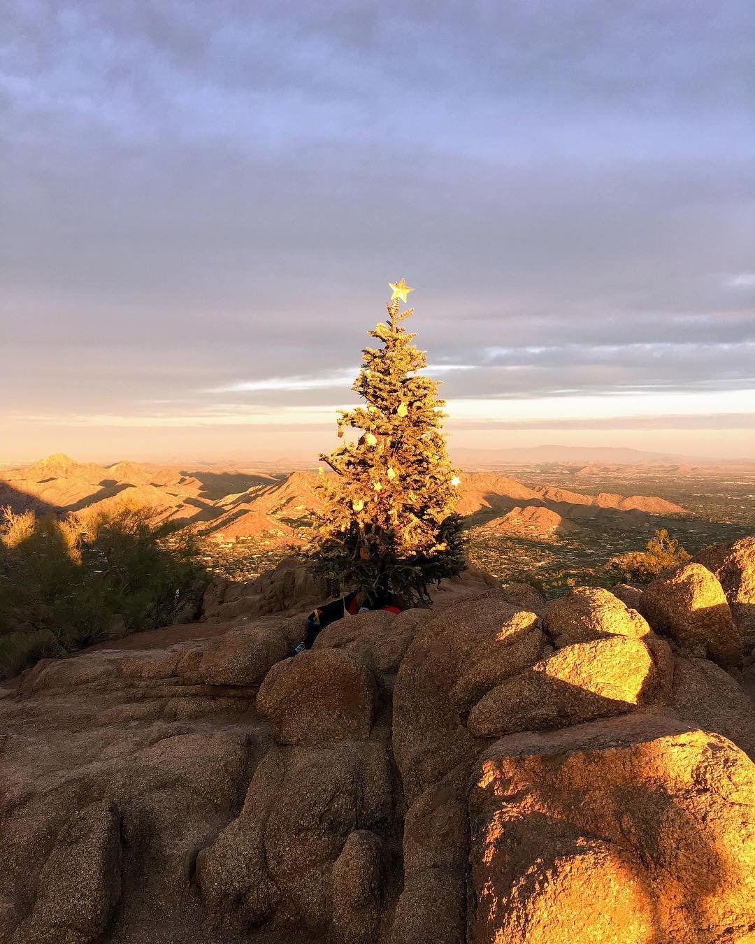 How to Celebrate the Season, Locally - The Scout Guide