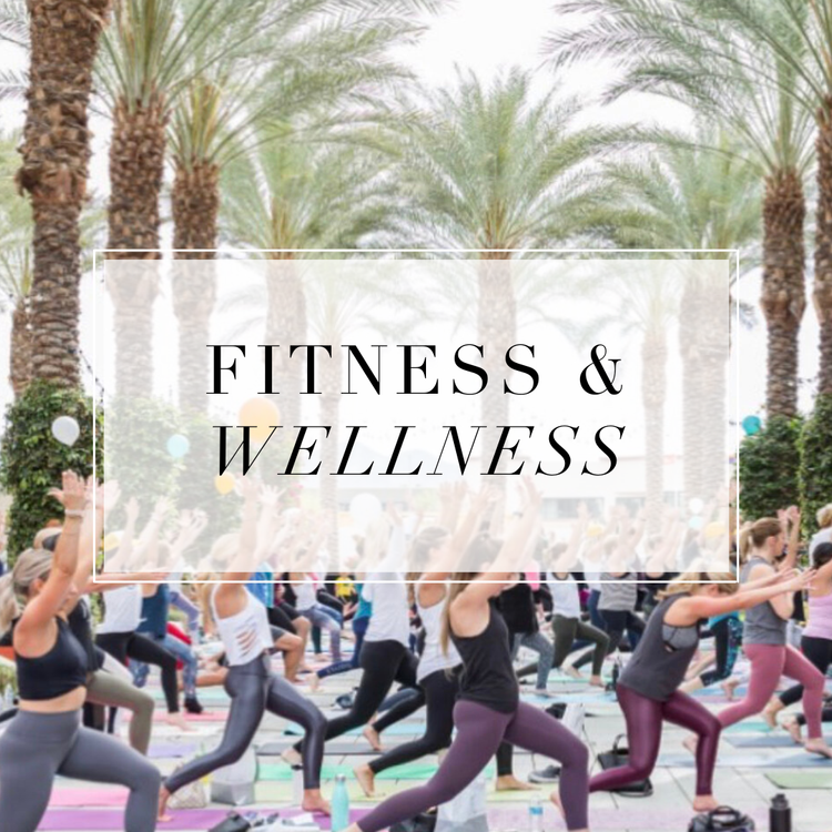 Phoenix & Scottsdale's City Cheat Sheets - The Scout Guide