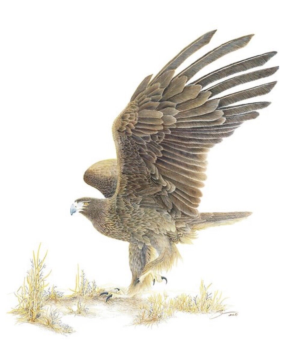 Susan Morrison Gallery Grand Opening Exclusively at Art Emporium - The ...