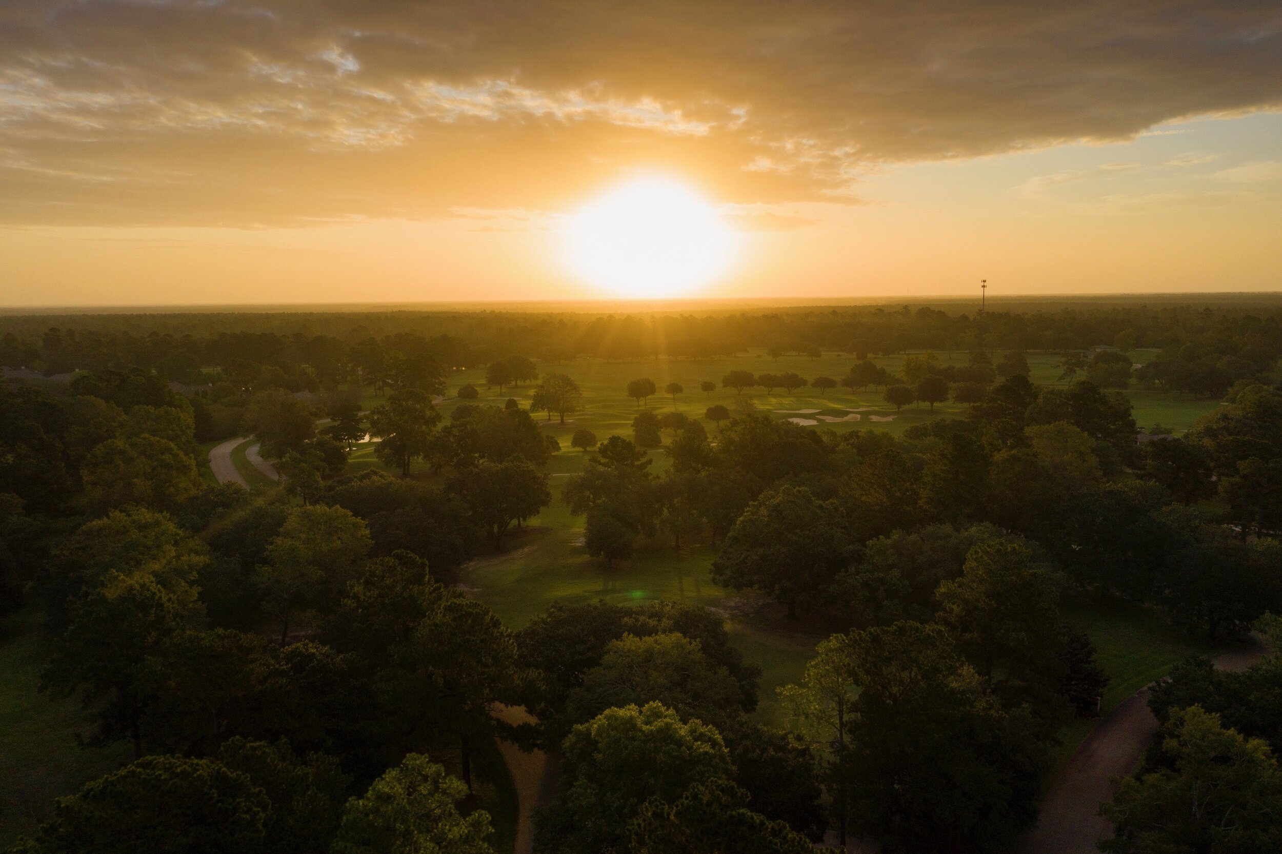 Discover Louisiana's Northshore with Mimi Goodyear Dossett of Money ...