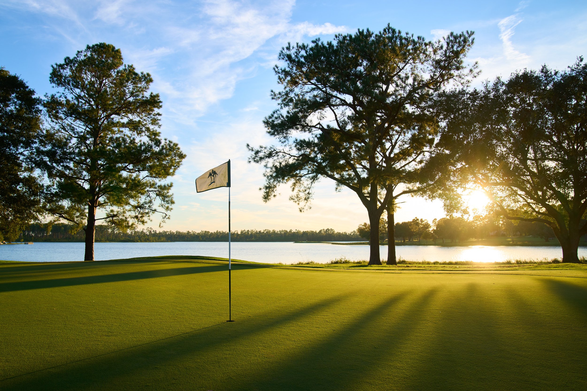 5 Things To Know About Money Hill - The Scout Guide