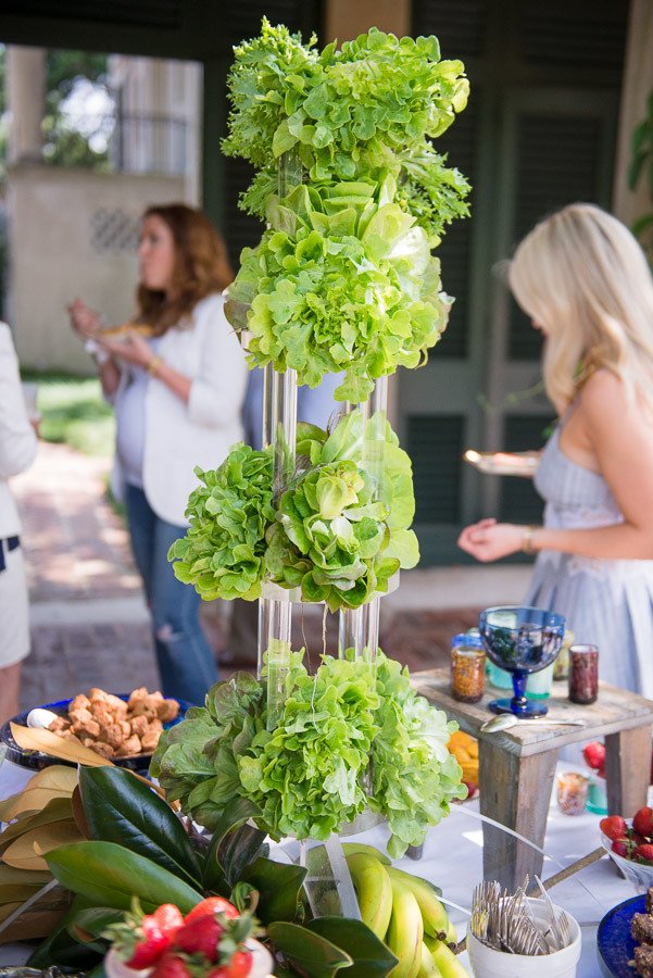 Designs in Catering: A Decade of Beautiful Events with Patti Constantin ...