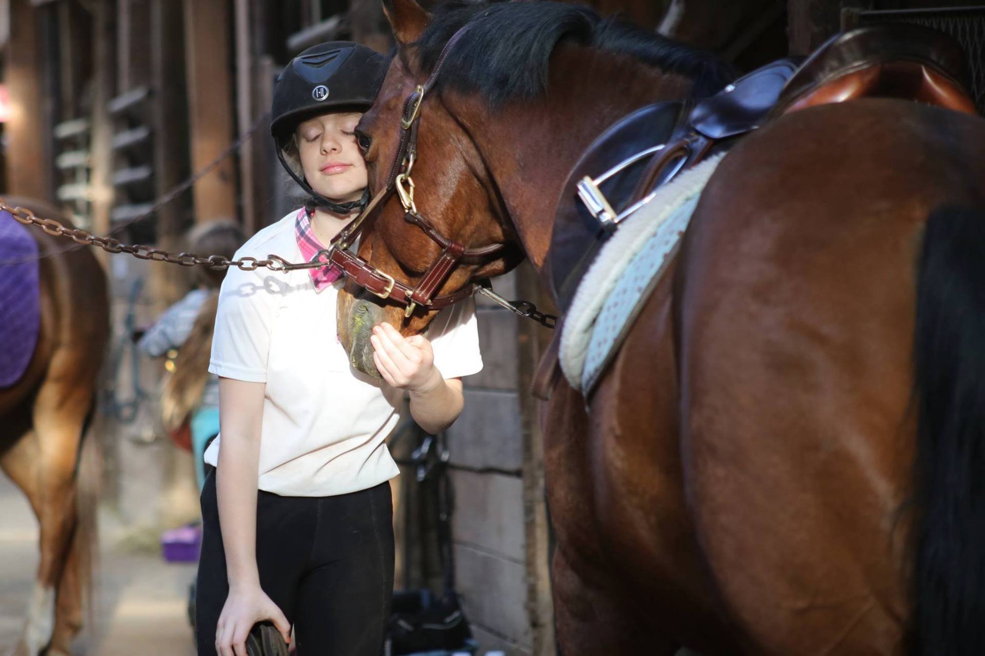 Meet Stacy Nunn, Owner of Skyrock Farm - The Scout Guide