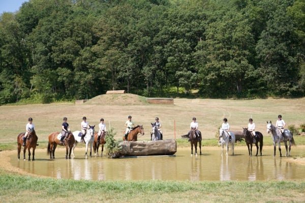 Meet Stacy Nunn, Owner of Skyrock Farm - The Scout Guide