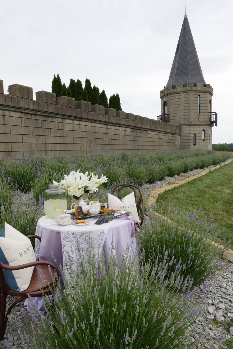 Lavender Festival at The Kentucky Castle! - The Scout Guide