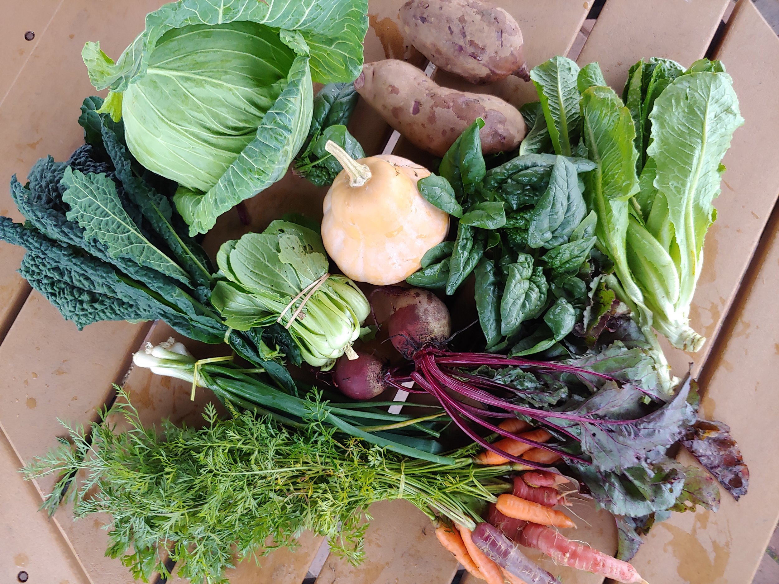 Come Together: Bluestem Hollow Farm's Vision for Food - The Scout Guide