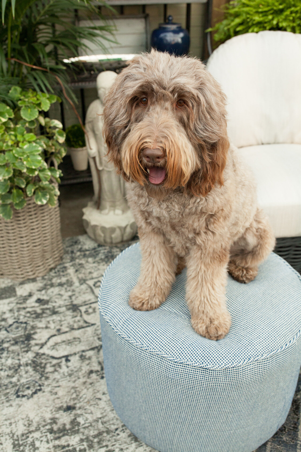 Brooks & Collier's Tips to Elevate Your Outdoor Life this Fall - The ...