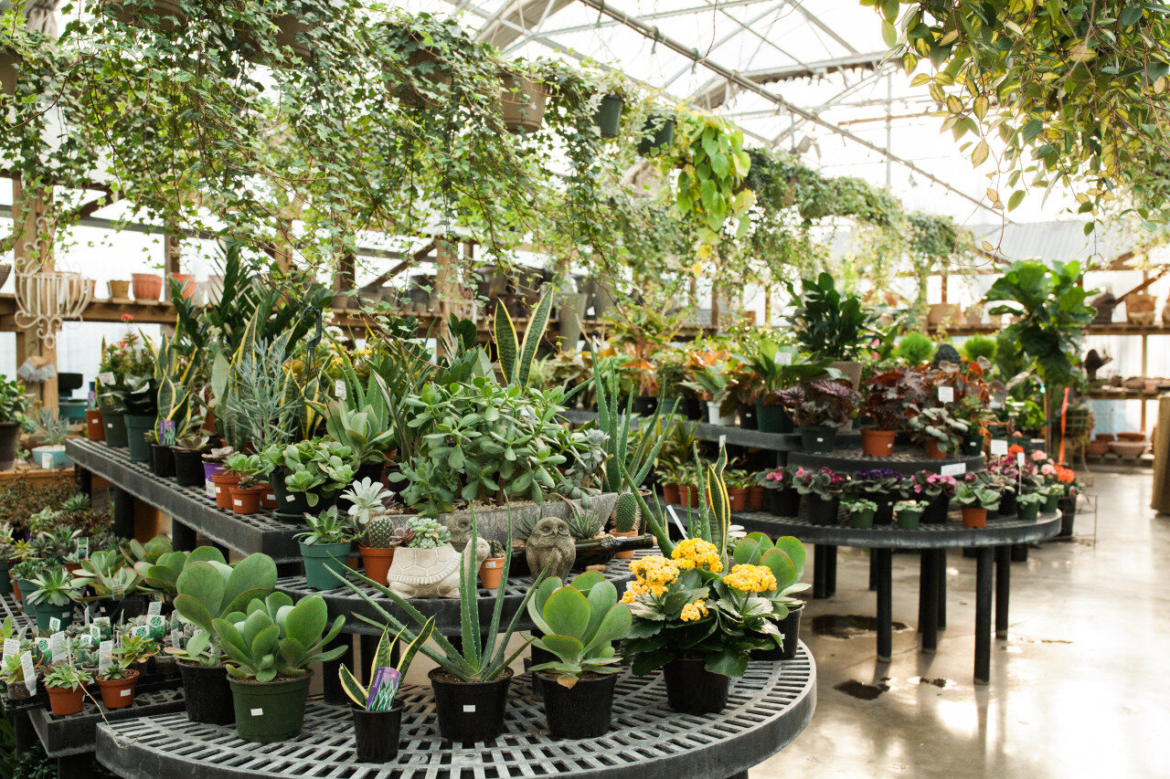 Brooks & Collier's Tips to Elevate Your Outdoor Life this Fall - The ...