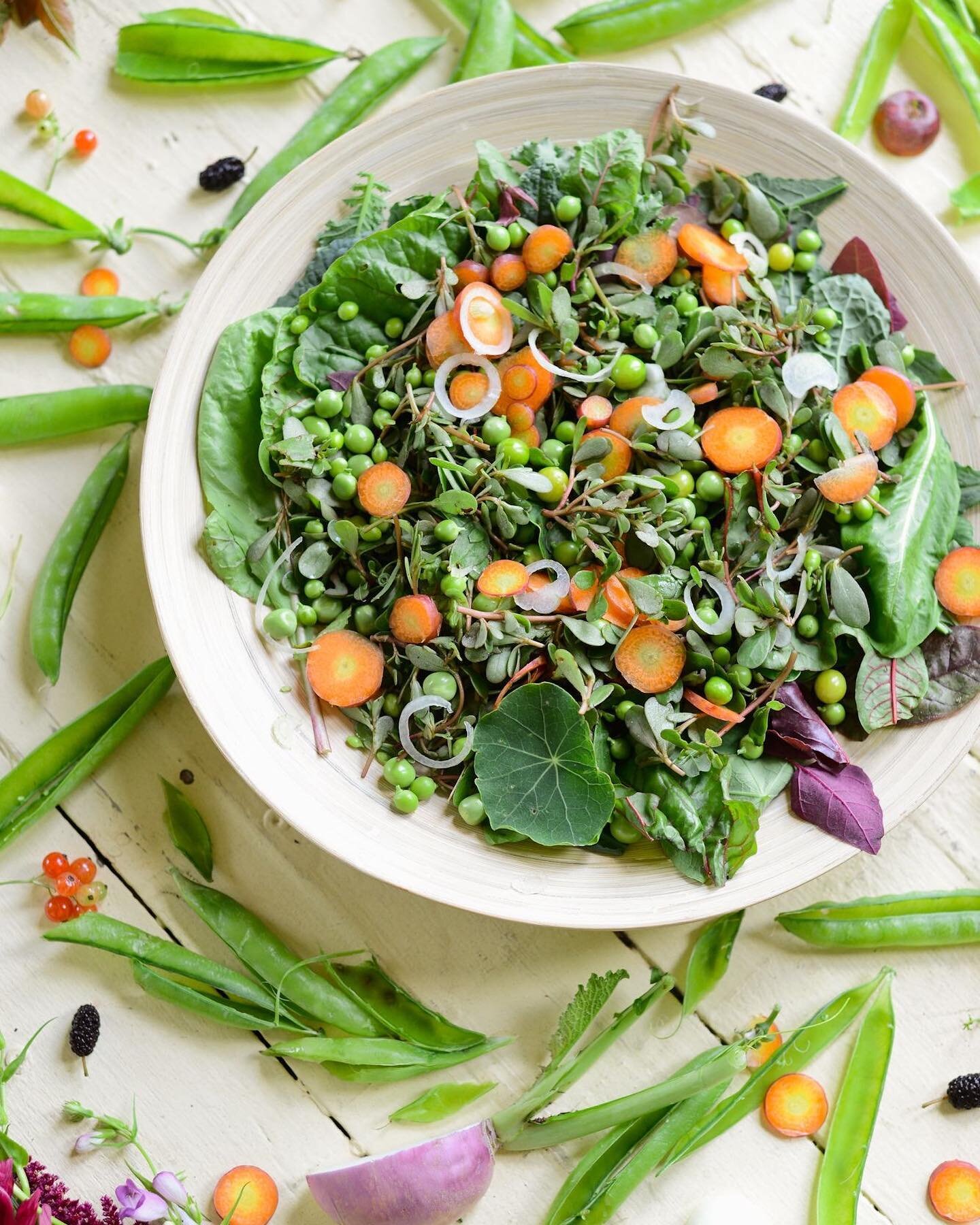 MEET: NATURE COMPOSED - The Scout Guide