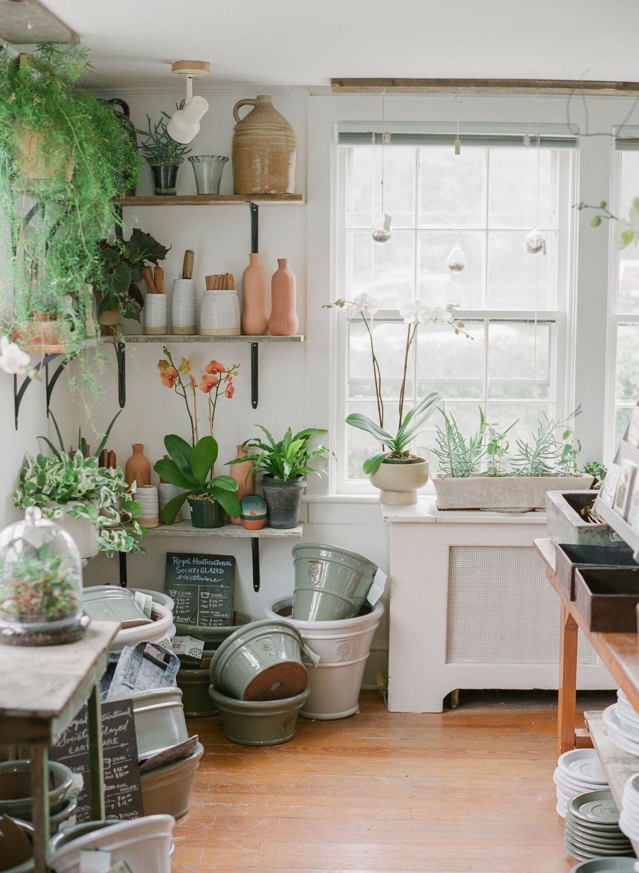 MEET: NATURE COMPOSED - The Scout Guide