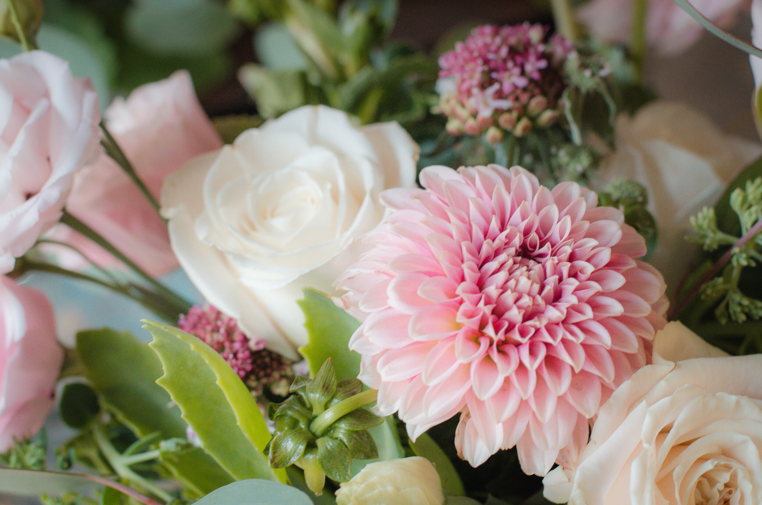 MEET: NATURE COMPOSED - The Scout Guide