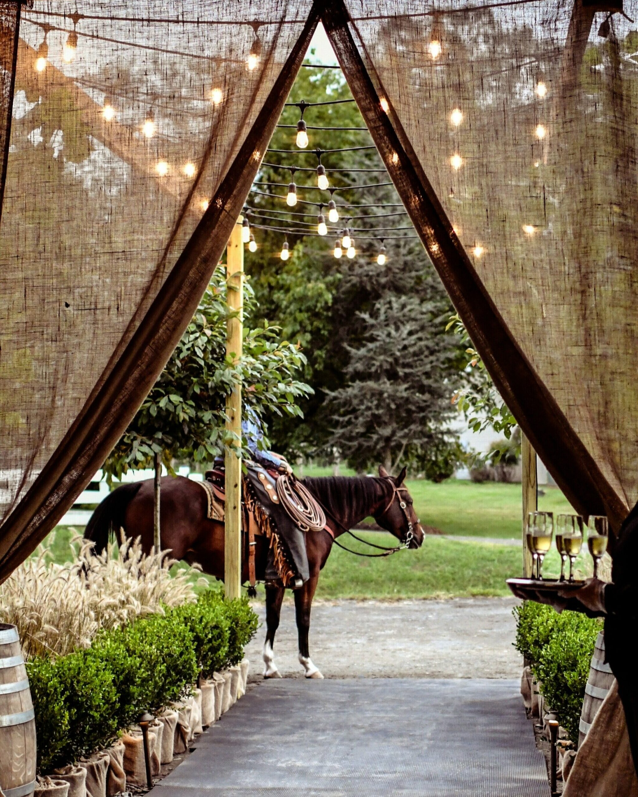 Sprout Center's Gallop Gala - The Scout Guide