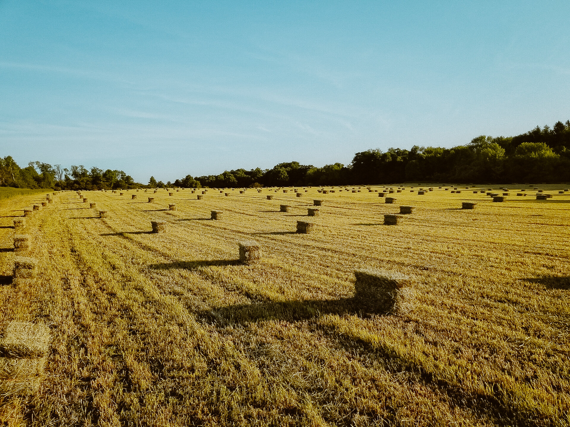 Meet: Tri-County Feeds, Fashions, Finds - The Scout Guide