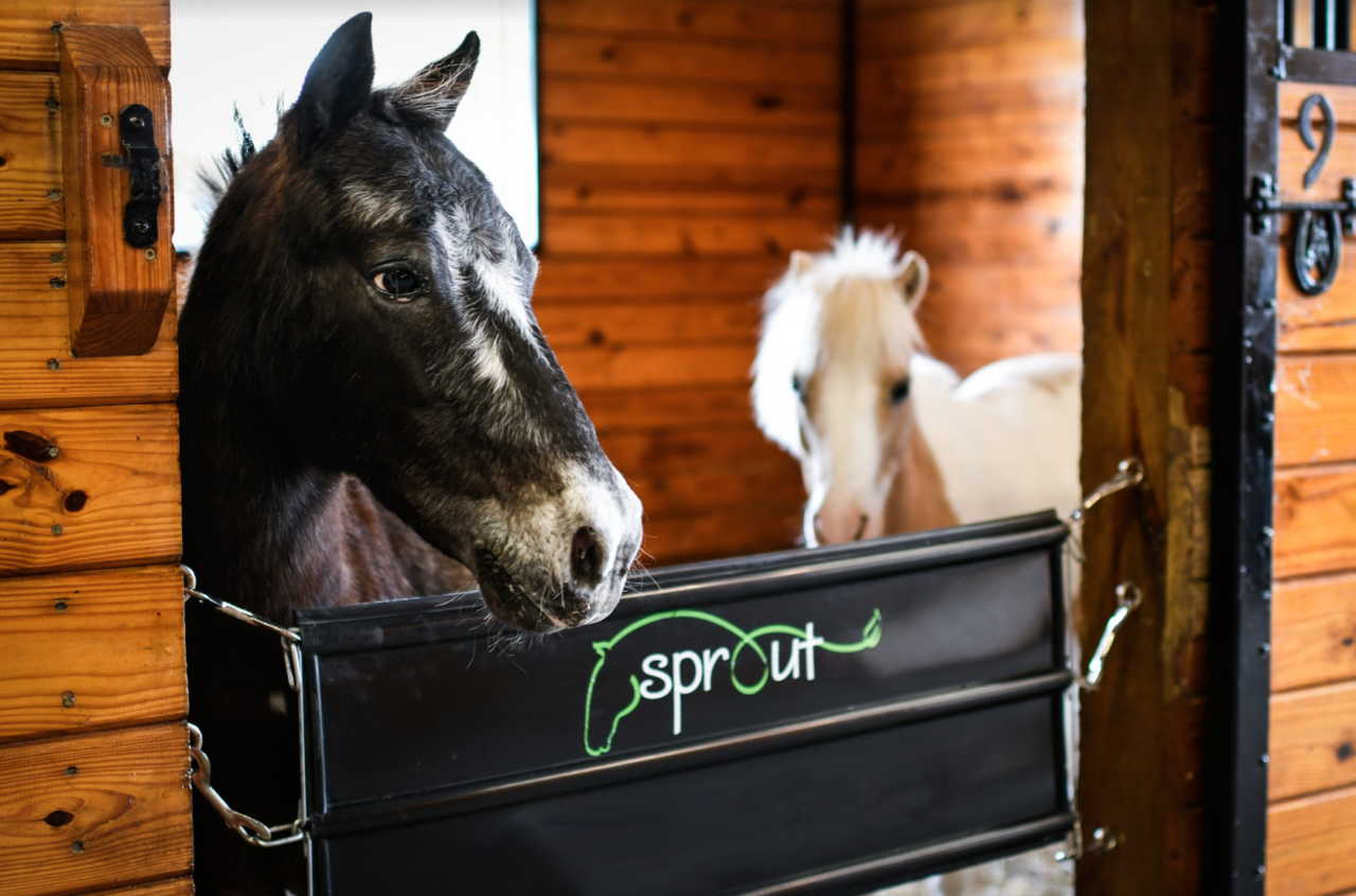 Sprout Center Dream Big 10 Year Anniversary Gala Recap - The Scout Guide