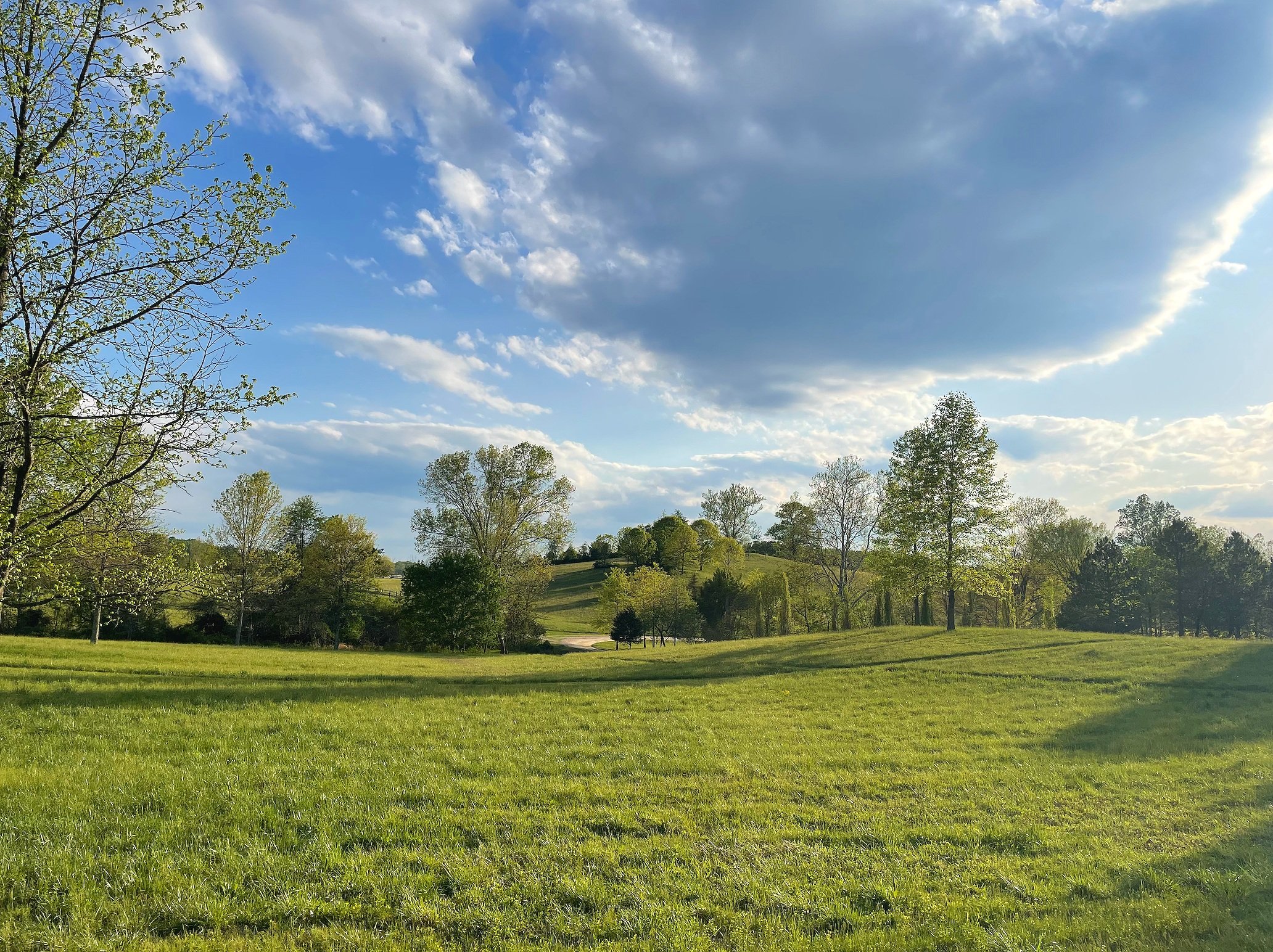 Three Spring Things to do right now in Hunt Country - The Scout Guide