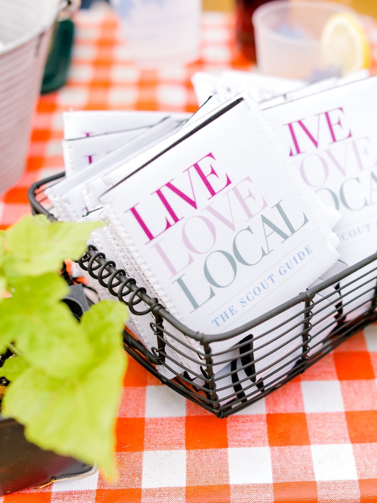 Spring 2023 Member Mingle - The Scout Guide