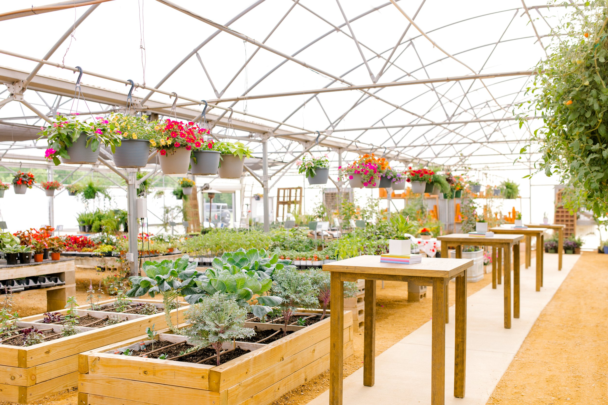 Spring 2023 Member Mingle - The Scout Guide