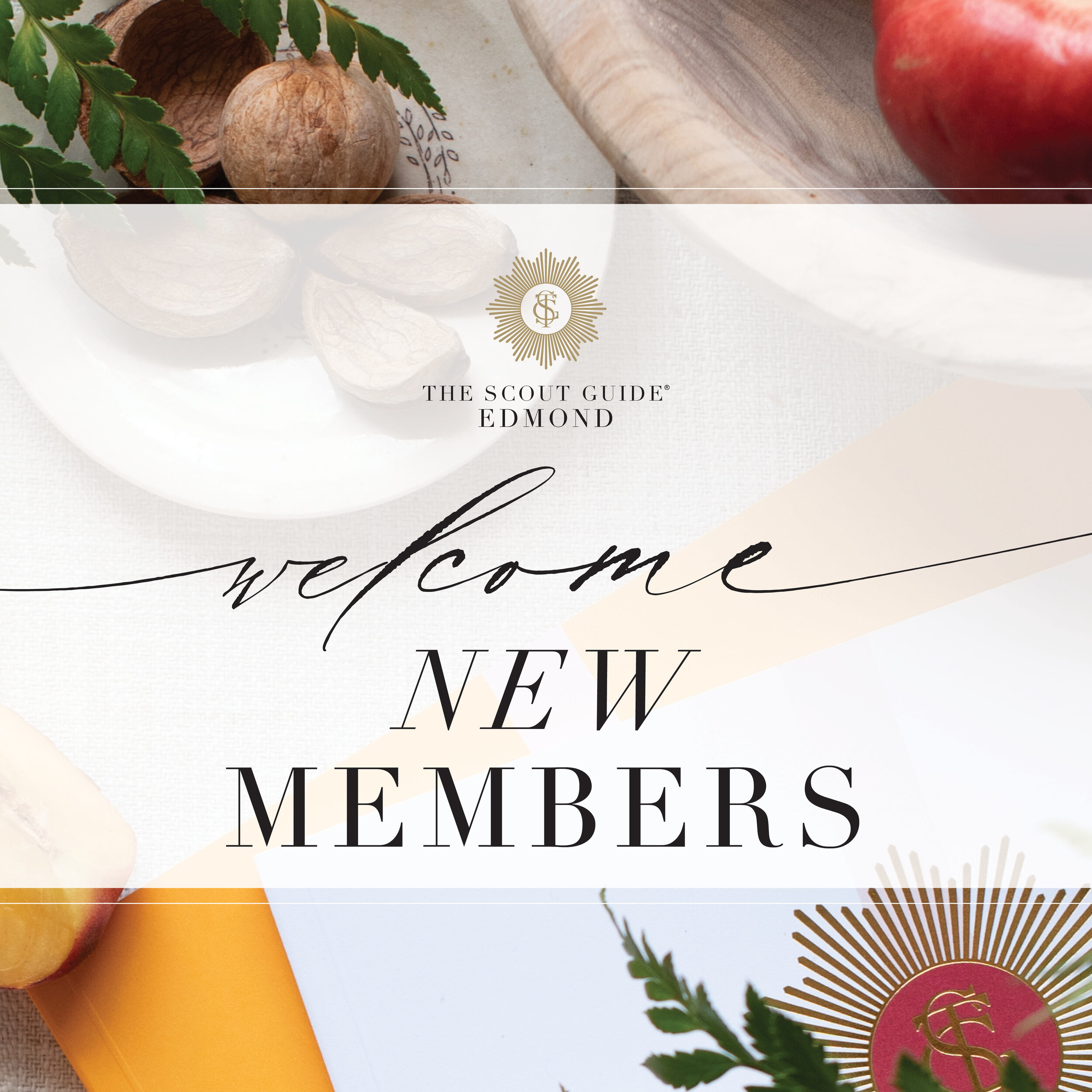 New Member Welcome! - The Scout Guide