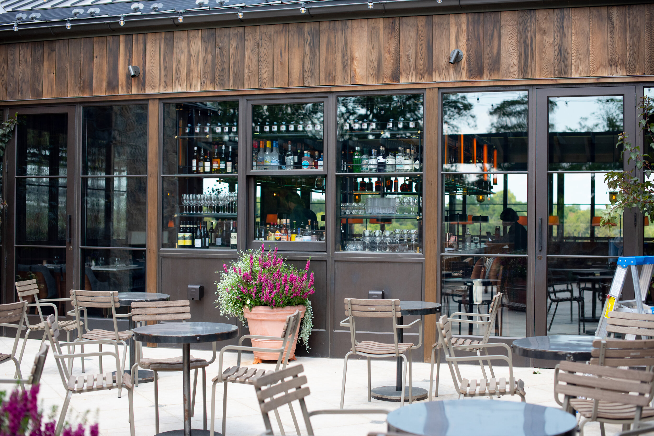 Spotlight on Marigold: Chef Jean-Georges Comes to Keswick - The Scout Guide