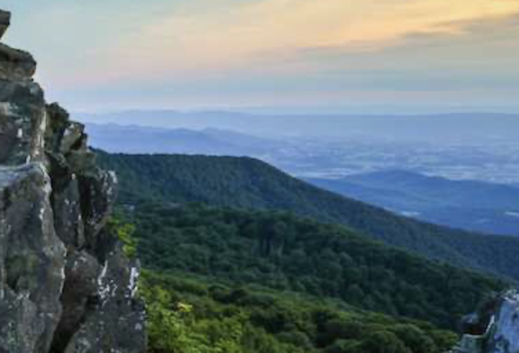 Charlottesville Summer Bucket List - The Scout Guide
