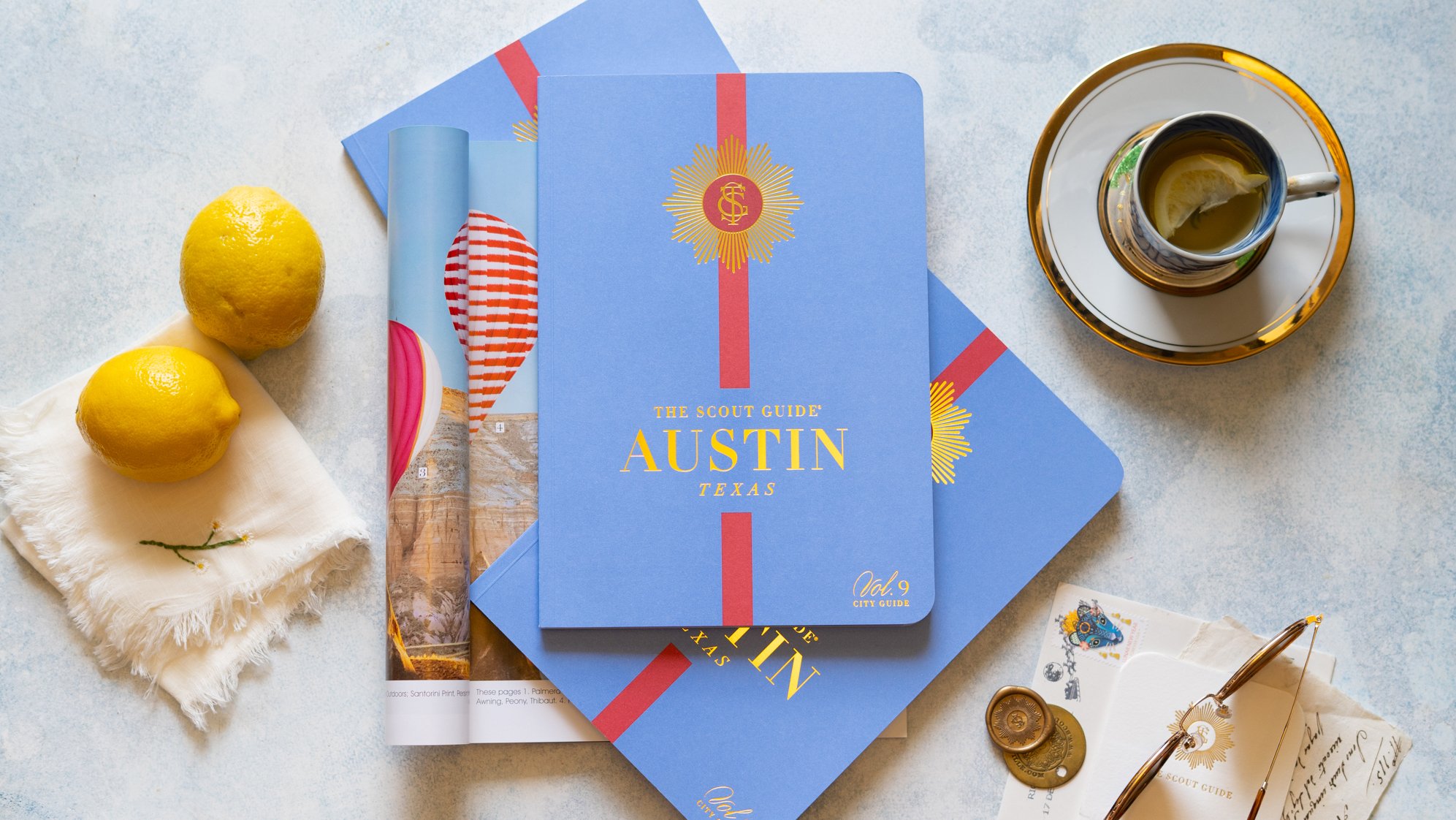 Scout is Out! Meet Volume 9 - The Scout Guide