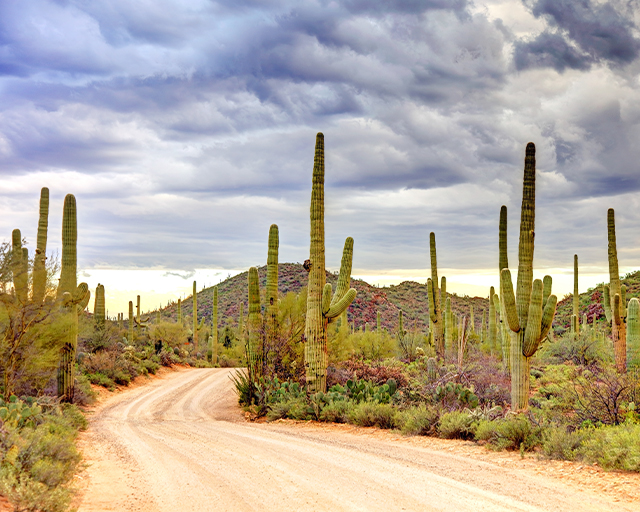 Scouted Destinations: 5 Great Guys’ Getaways - The Scout Guide