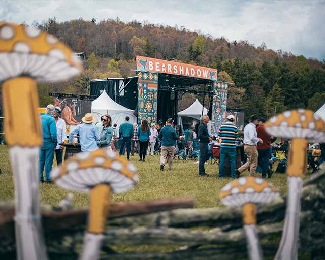 An Insider’s Guide to Bear Shadow - The Scout Guide