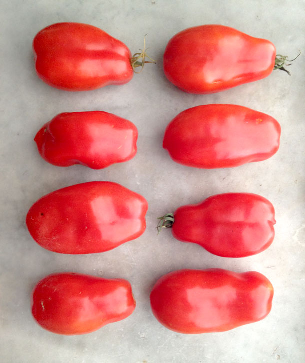 Red Stick Spice Company's Roasted Tomato Recipe - The Scout Guide