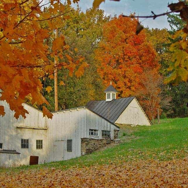 The 79th Annual Waterford Fair - The Scout Guide