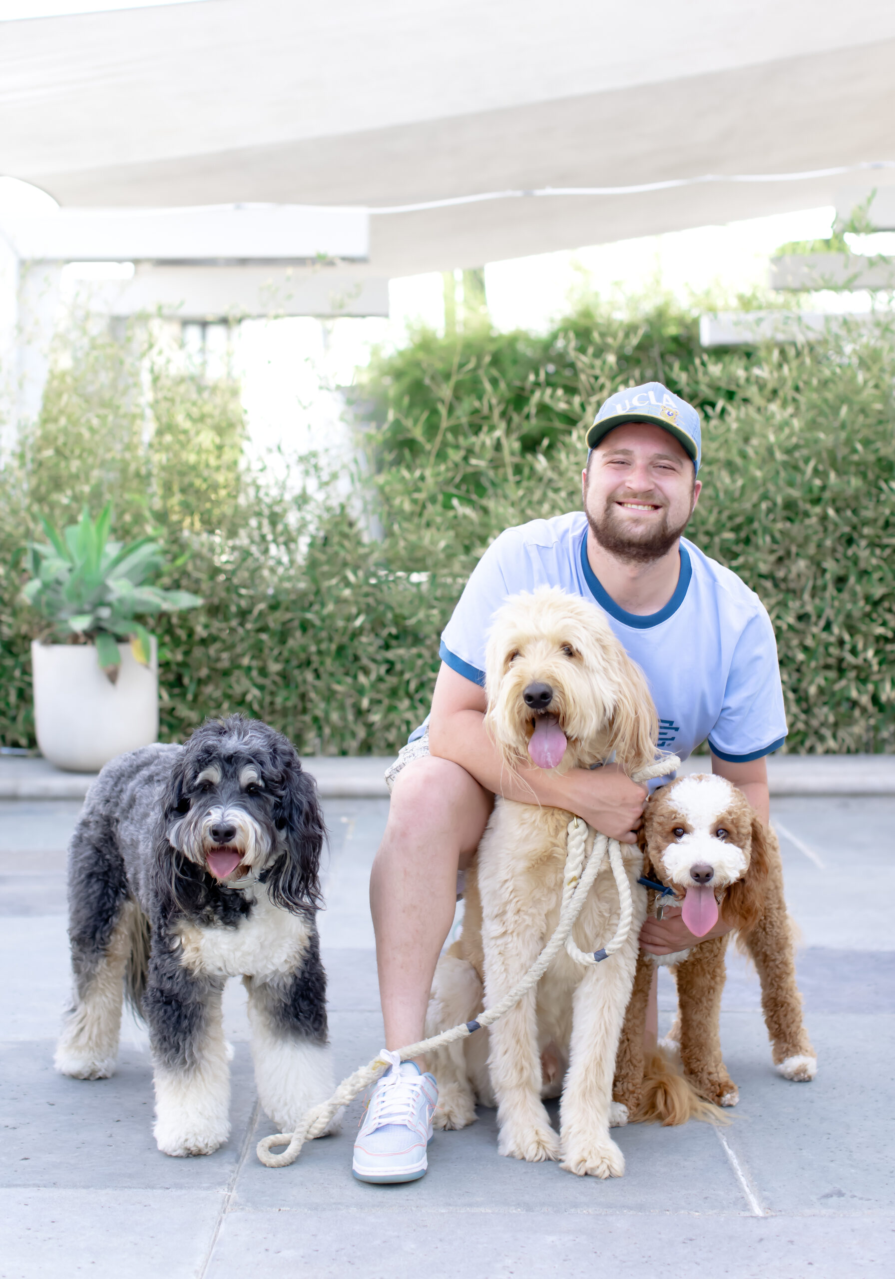 Getting to Know The Woof Pack - The Scout Guide