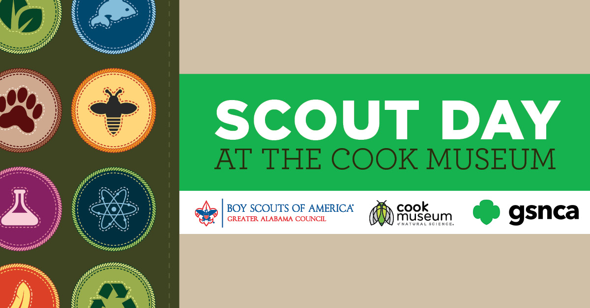 Scout Day — Cook Museum - The Scout Guide