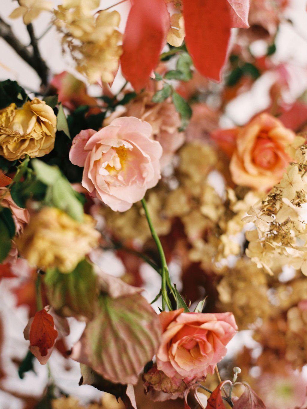 TSG TIP: Mastering Fall Florals with Wither & Bloom - The Scout Guide