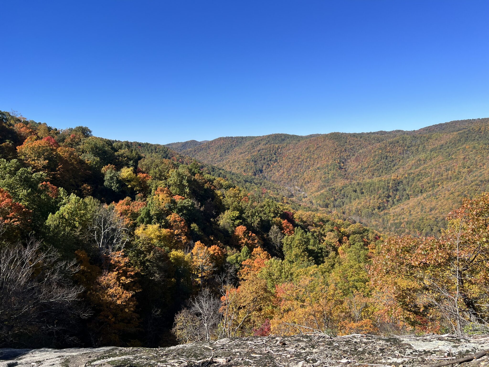 The Insider Guide to Fall Hiking Near Charlottesville - The Scout Guide