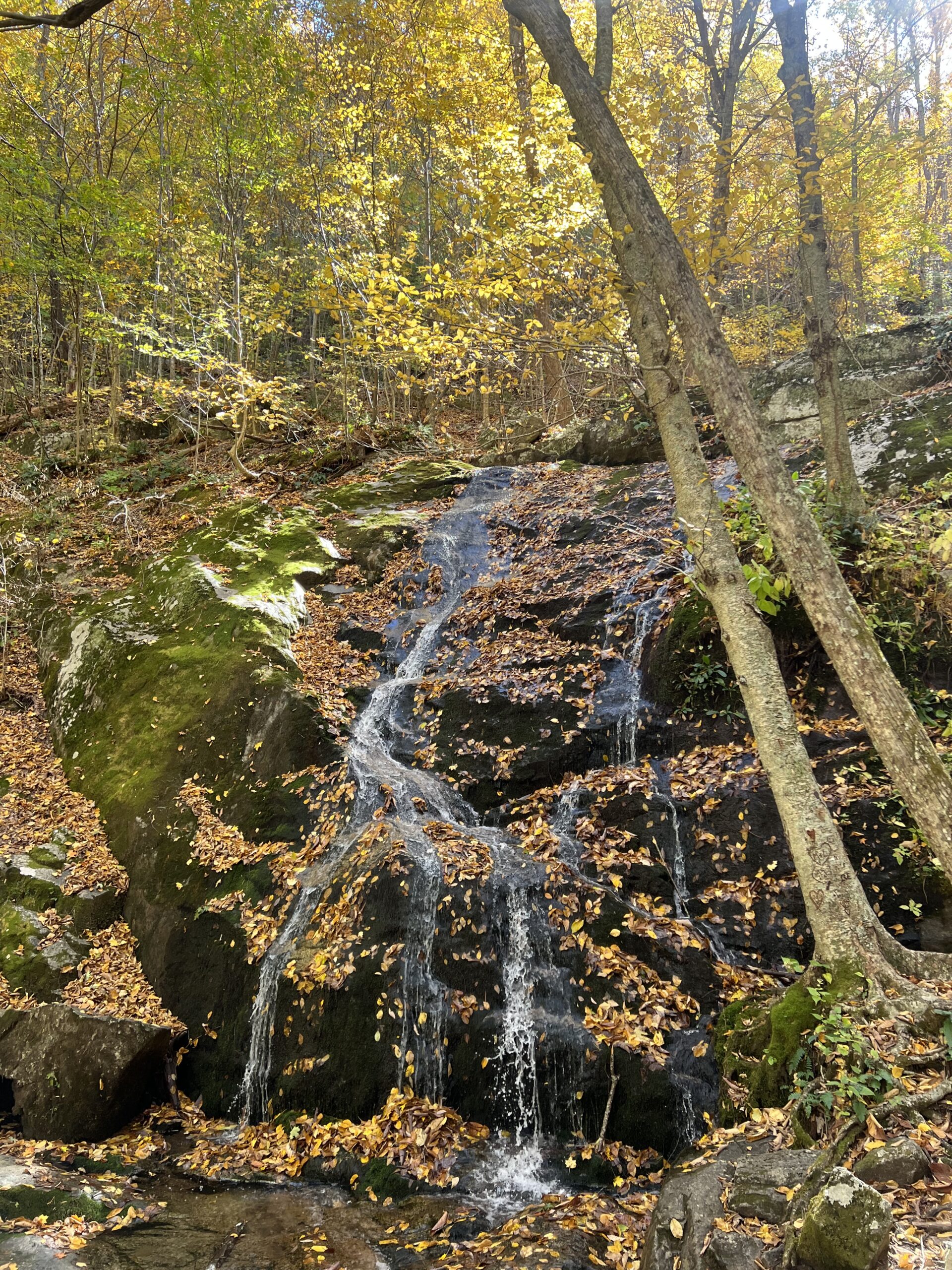 The Insider Guide to Fall Hiking Near Charlottesville - The Scout Guide