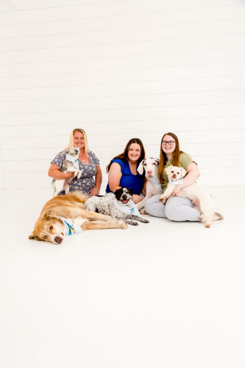 Vet Tech Appreciation Week: Celebrating the Registered Vet Techs of ...