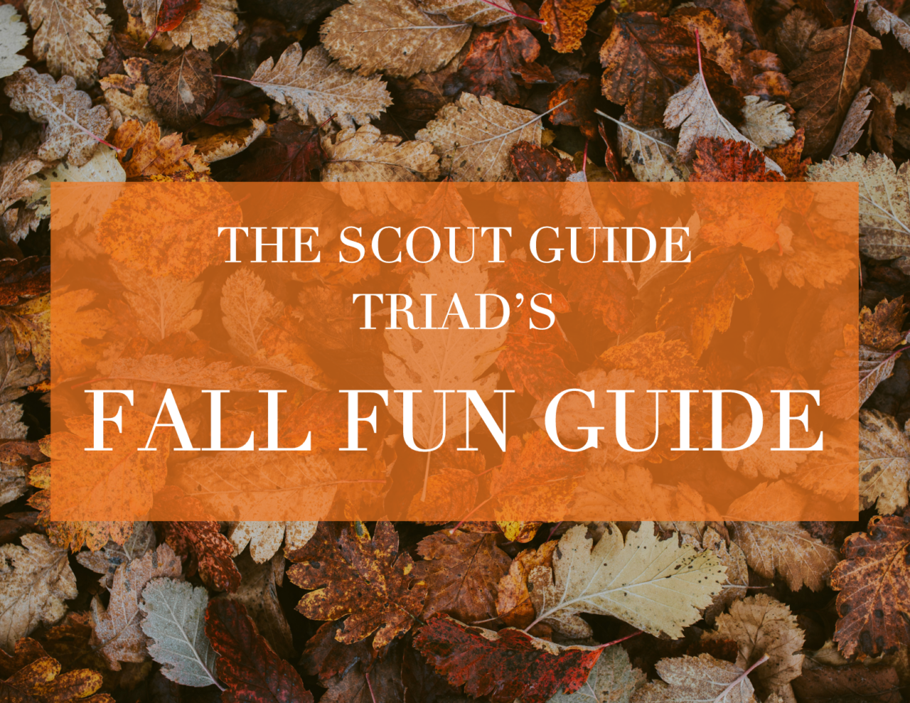 Fall Fun Guide - The Scout Guide