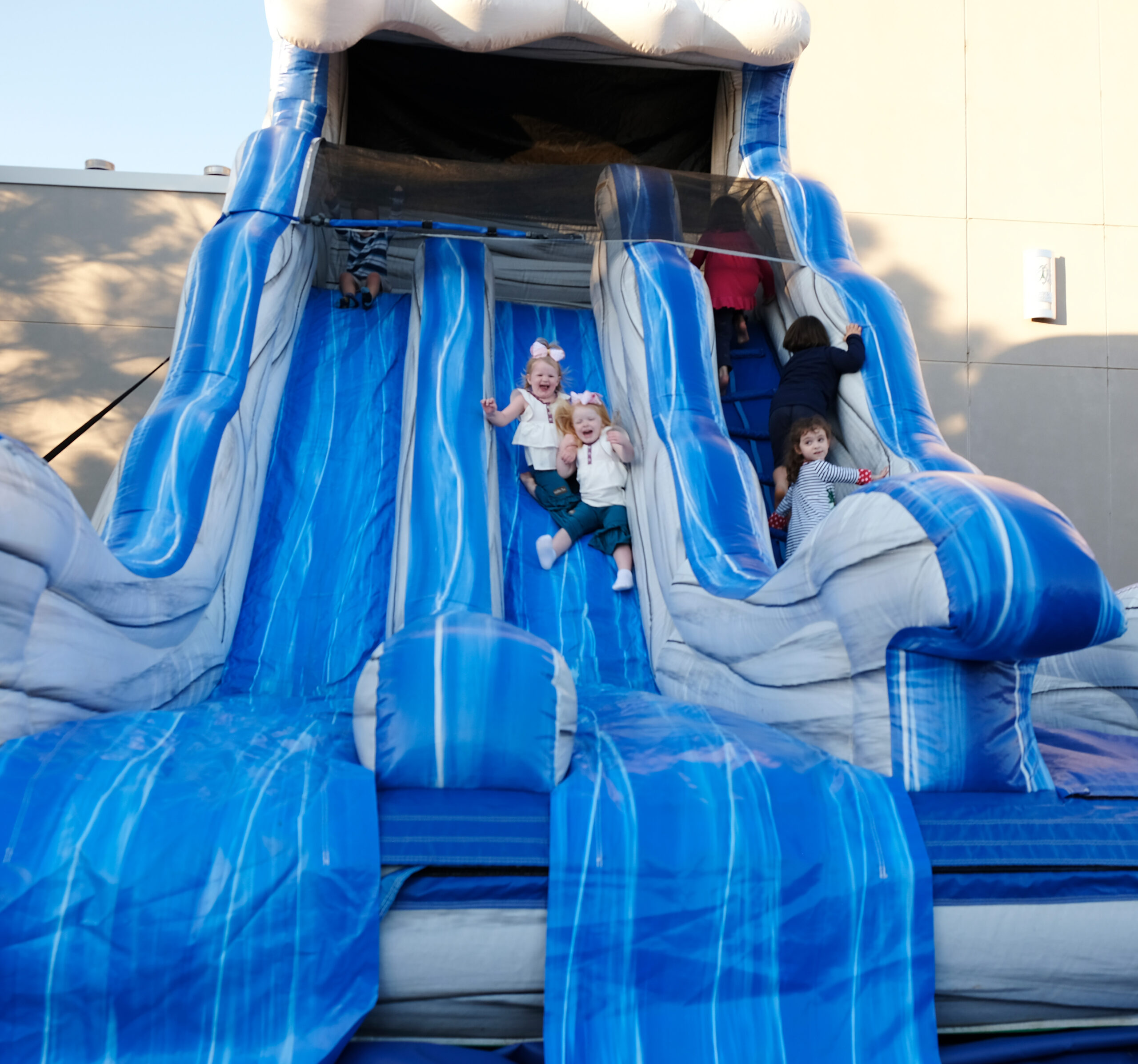 Cook Museum’s Winter Wonder — Cook Museum of Natural Science and The ...