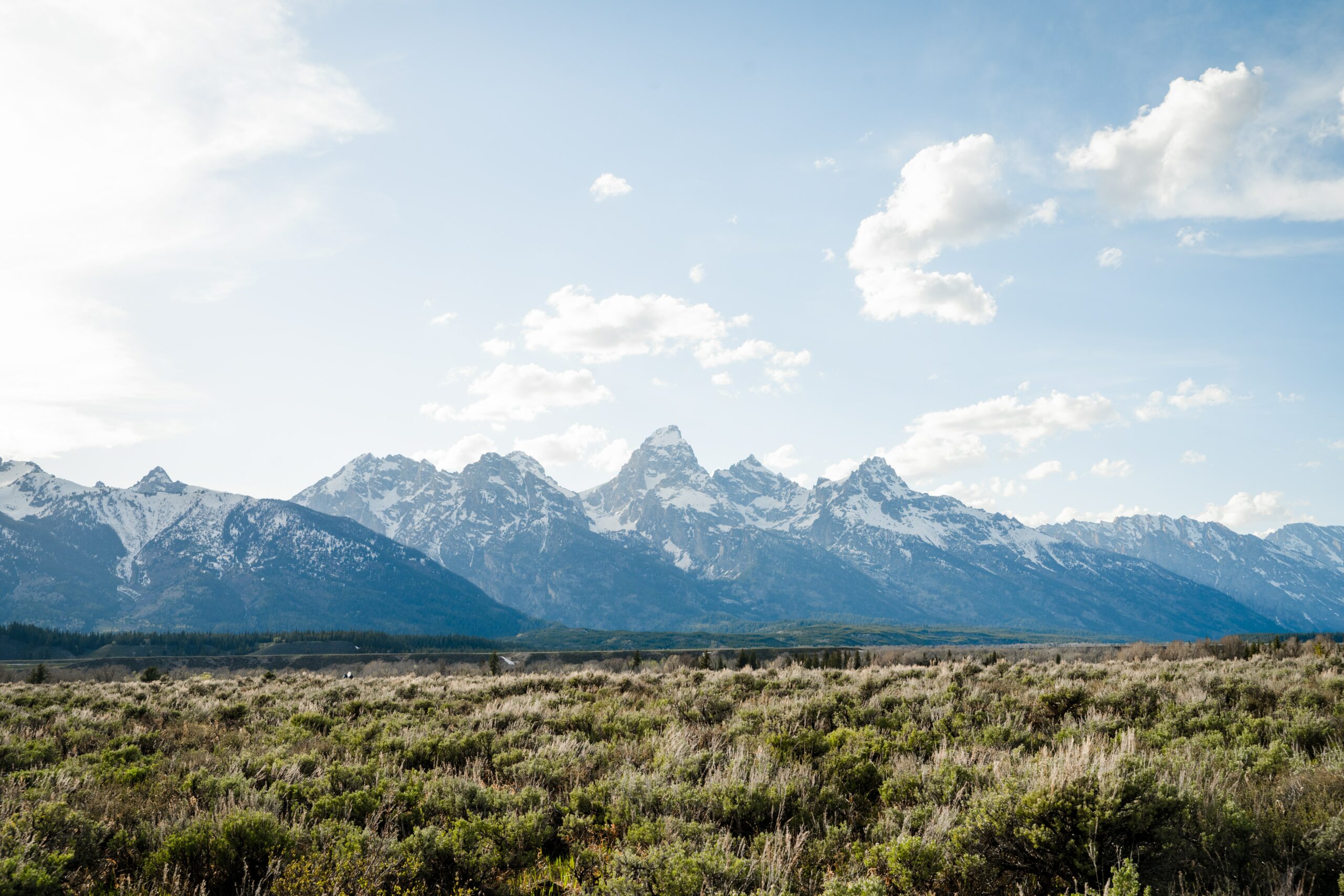 The Western Wanderer- The Photography of David R Day - The Scout Guide