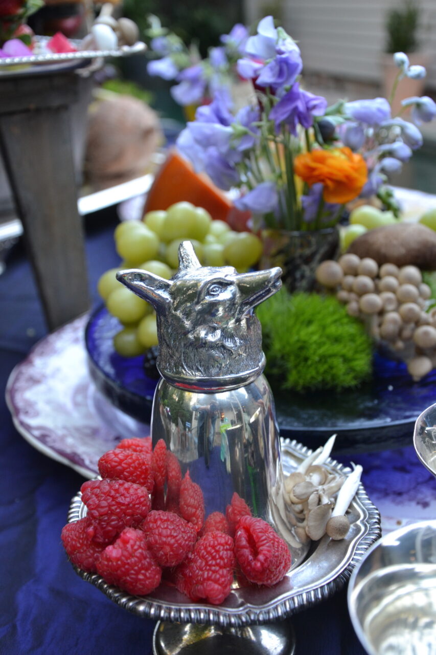 A Sensational King Cake Tasting with Patti Constantin - The Scout Guide