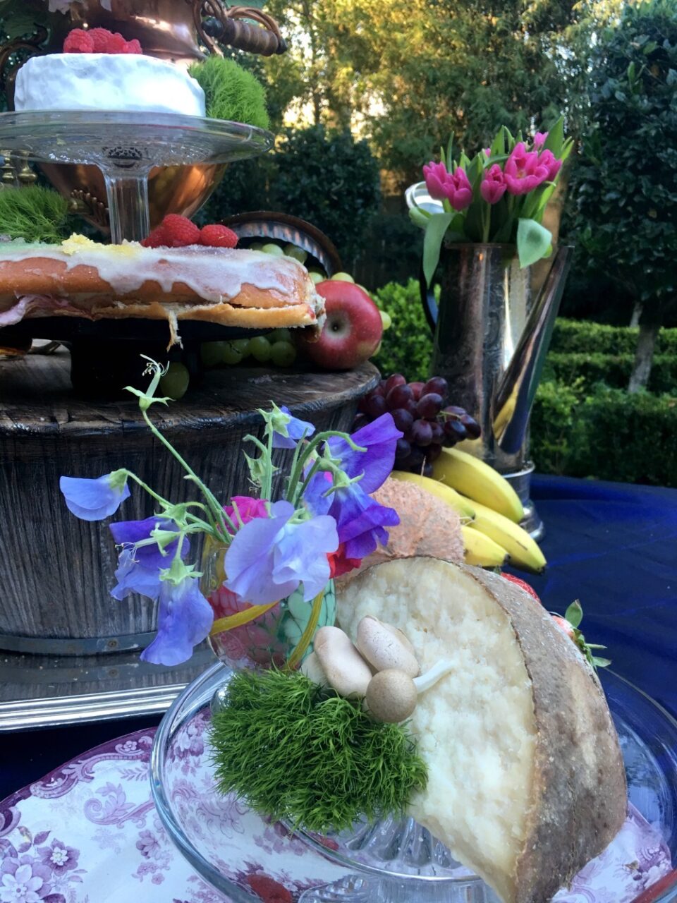 A Sensational King Cake Tasting with Patti Constantin - The Scout Guide