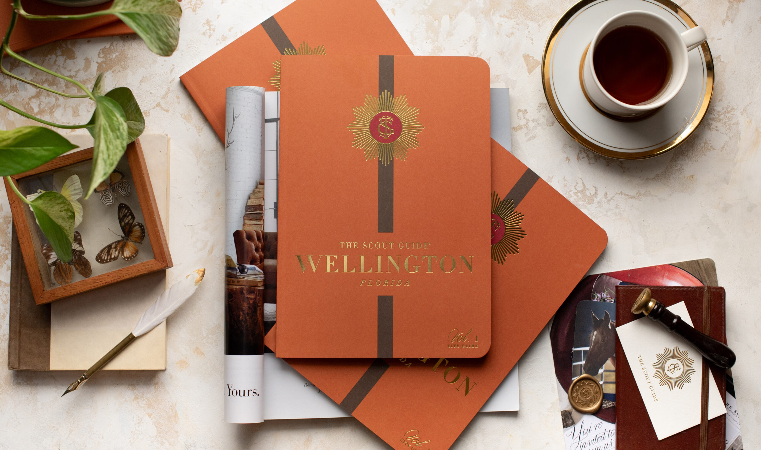 Wellington - The Scout Guide