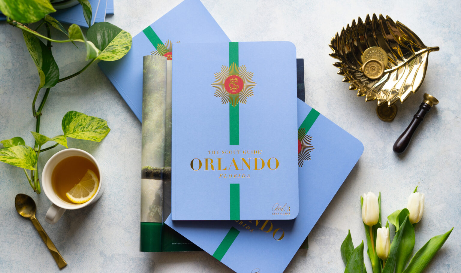 Welcome to Orlando, Florida - The Scout Guide