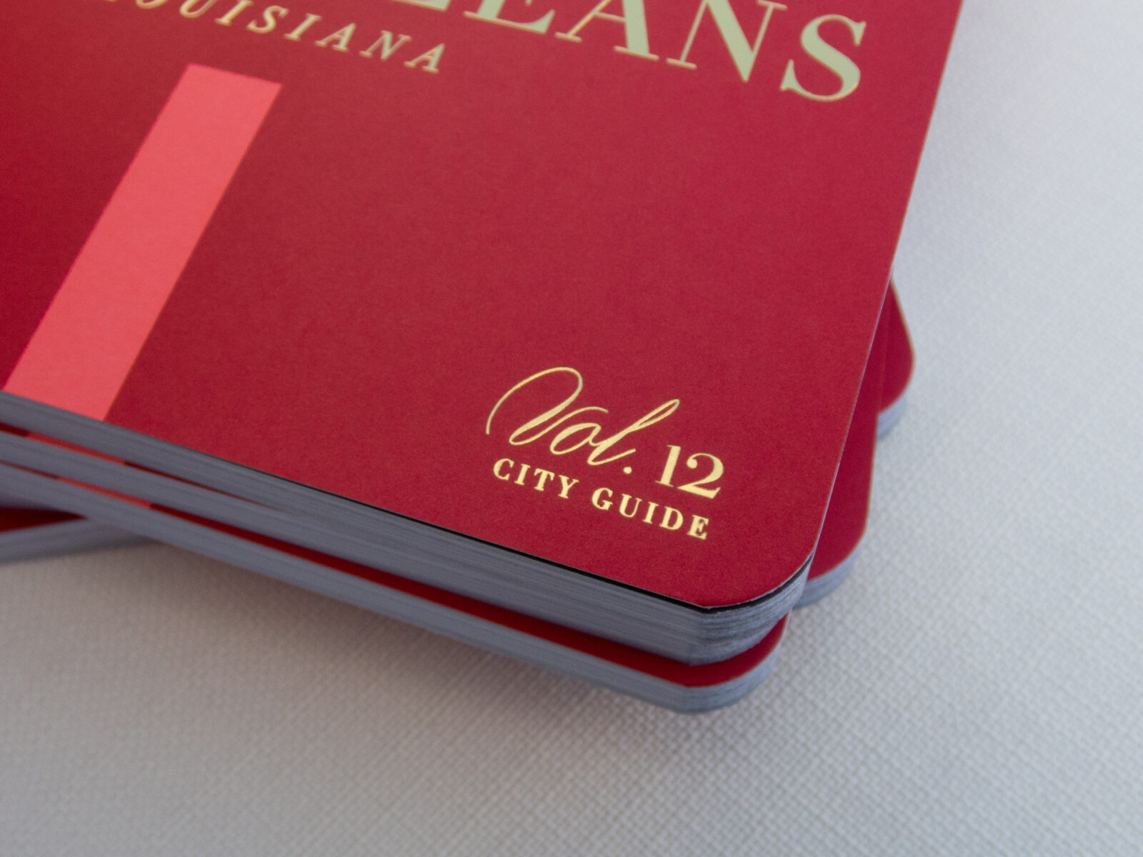 Celebrate Local: Party Pics from The Scout Guide New Orleans Volume 12 ...