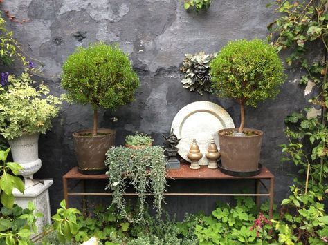 The Topiary Pop-up — The Cupboard - The Scout Guide